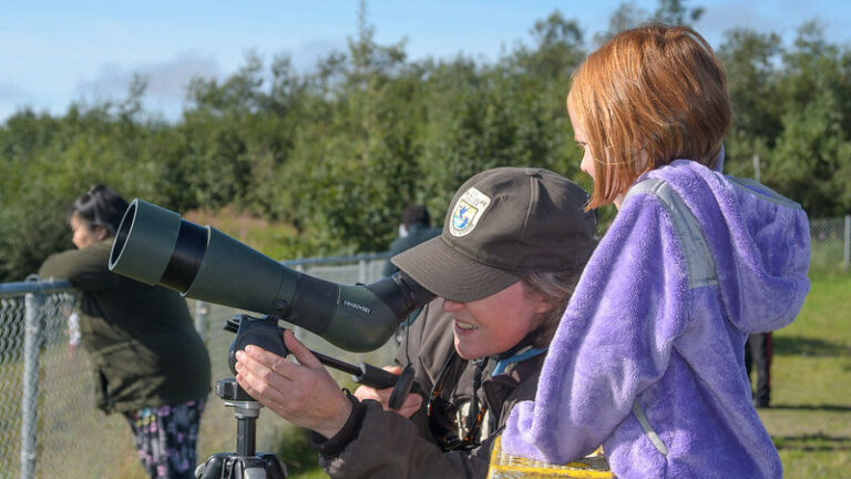 Discover How to Use a Spotting Scope for Birding - Birding Peak